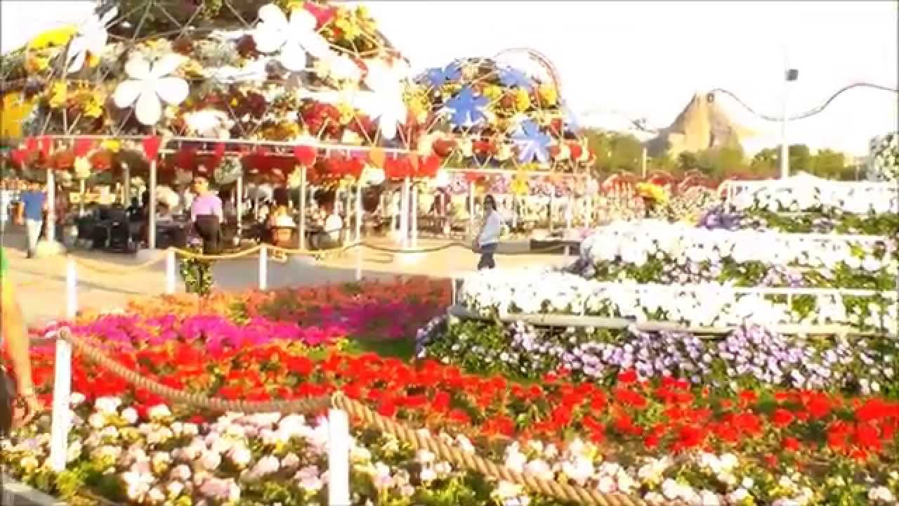 rudra rai dubai ma - YouTube