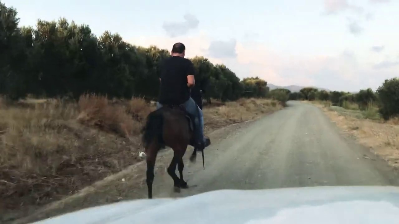 Βόλτα με το άλογο . - YouTube
