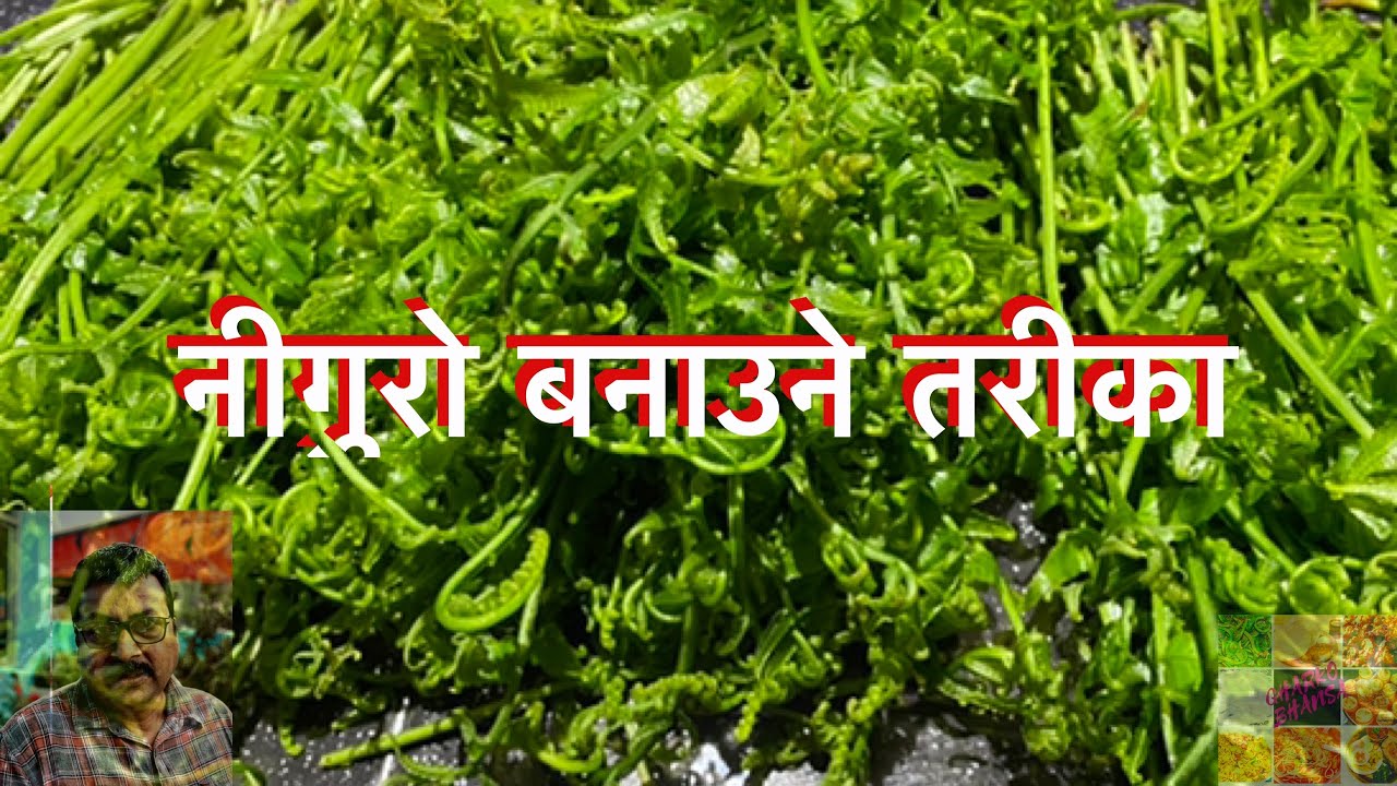 निगुरो बनाउने तरीका | Fiddlehead fern recipe| How to cook niguro ...