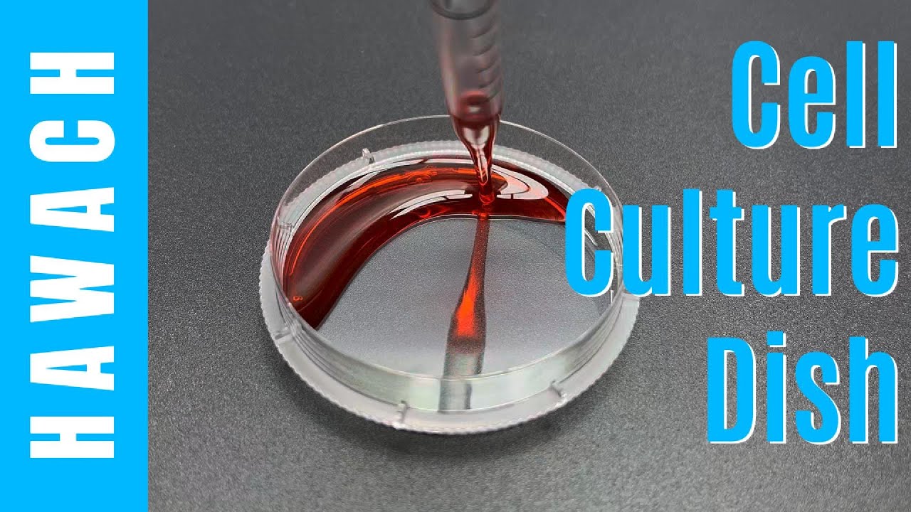 Hawach Cell Culture Dish - YouTube