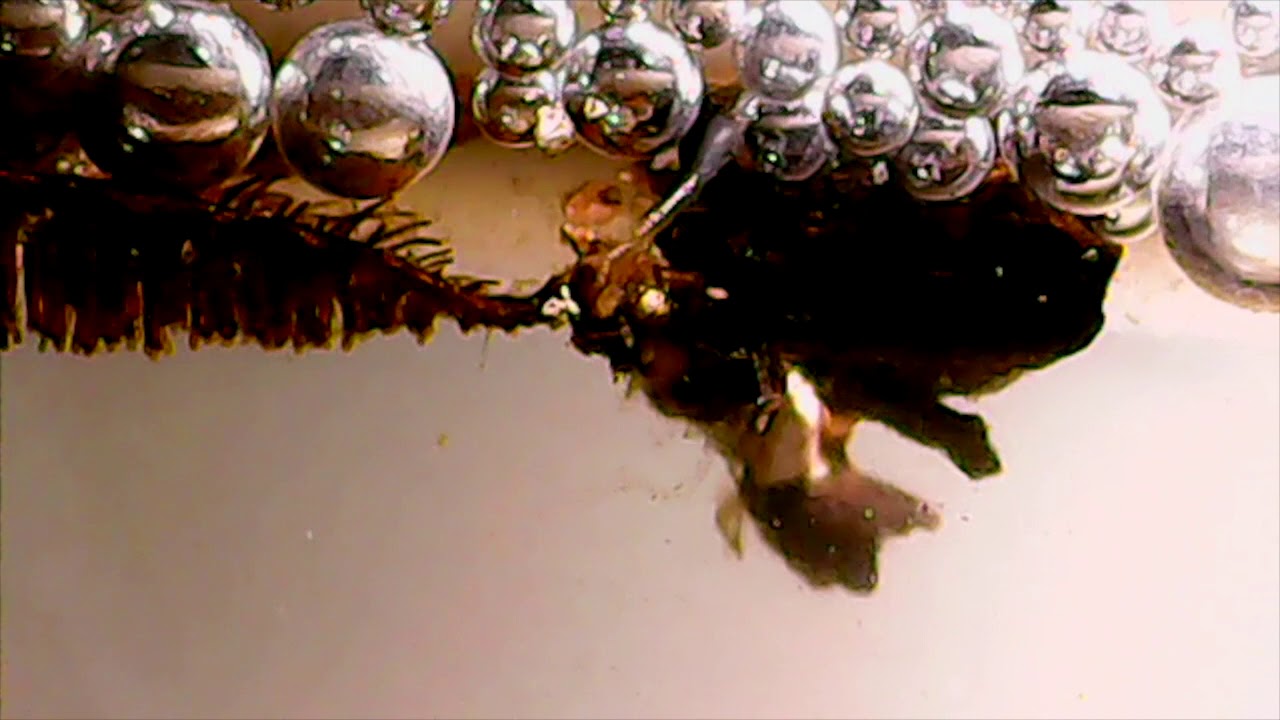 The Bubble Eater - YouTube