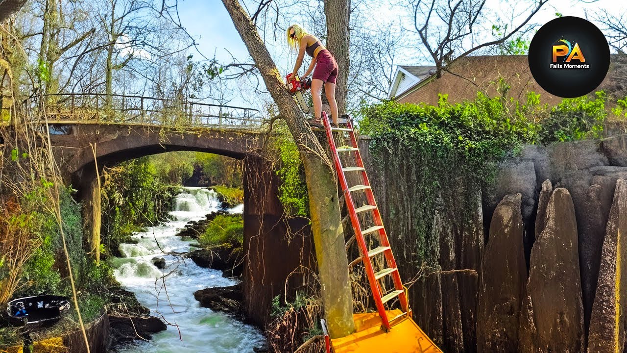 TRY NOT TO LAUGH Challenge #36 | Best FUNNY Videos of 2025 | P&A Fails ...