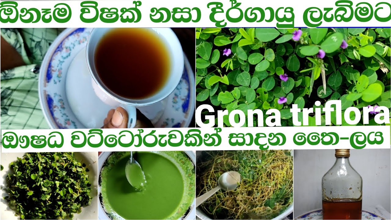 වෙද ගෙදරින් නීරෝගී භාවය සදහා රෝග නසා ලන /උදුපියලිය/udupiyaliya/Grona ...