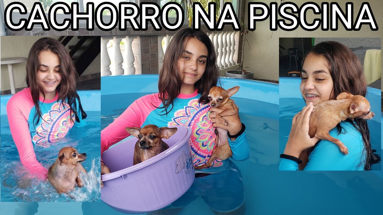 DESAFIO DA PISCINA COM AS CACHORRAS - YouTube