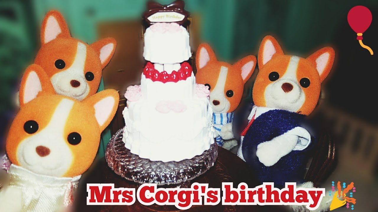 Mrs Corgi's birthday STOPMOTION ANIMATION & slideshow - YouTube