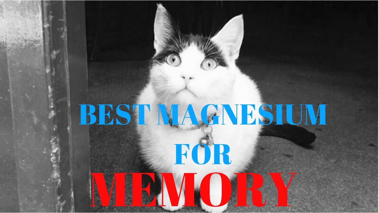 Best Magnesium for Memory - YouTube