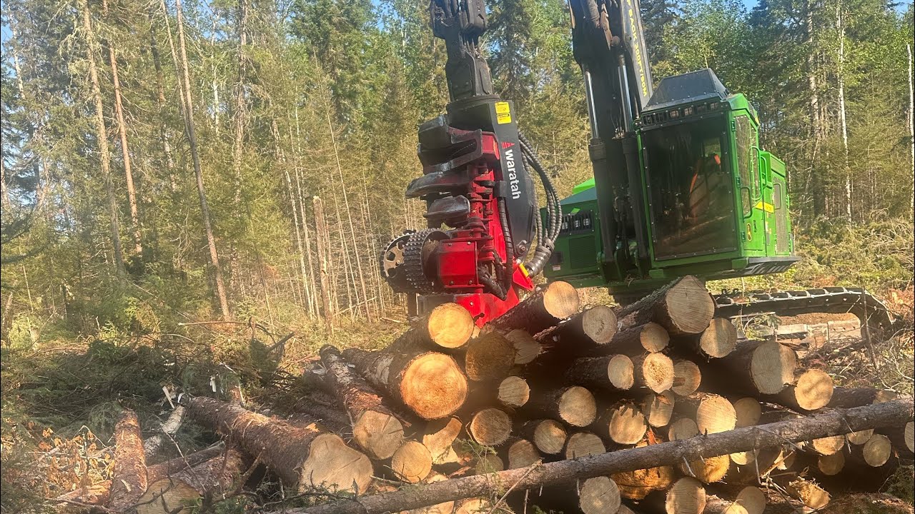 Skidways in the bush | Waratah 622B on JohnDeere 953mh - YouTube