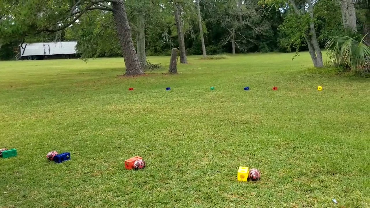 Play Day 2019 at Venetia Elementary - YouTube