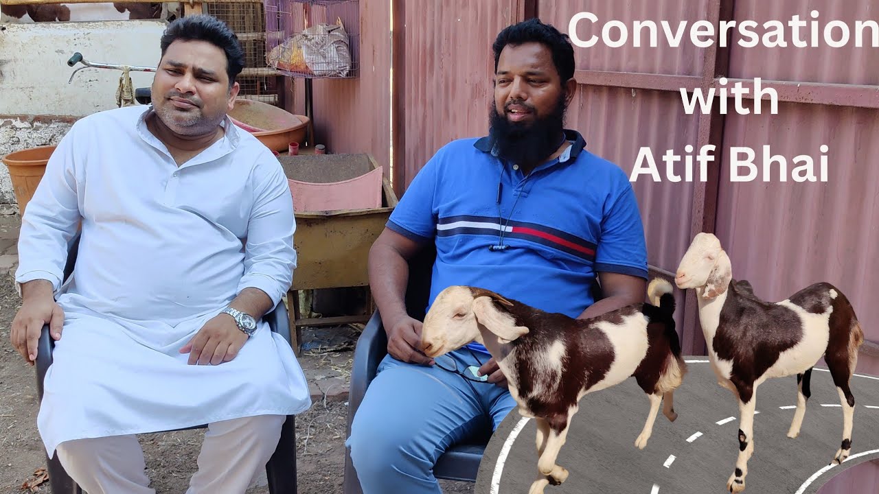 Feedback From Atif Bhai & 2pale hue #bakre #goat #eid2023 - YouTube