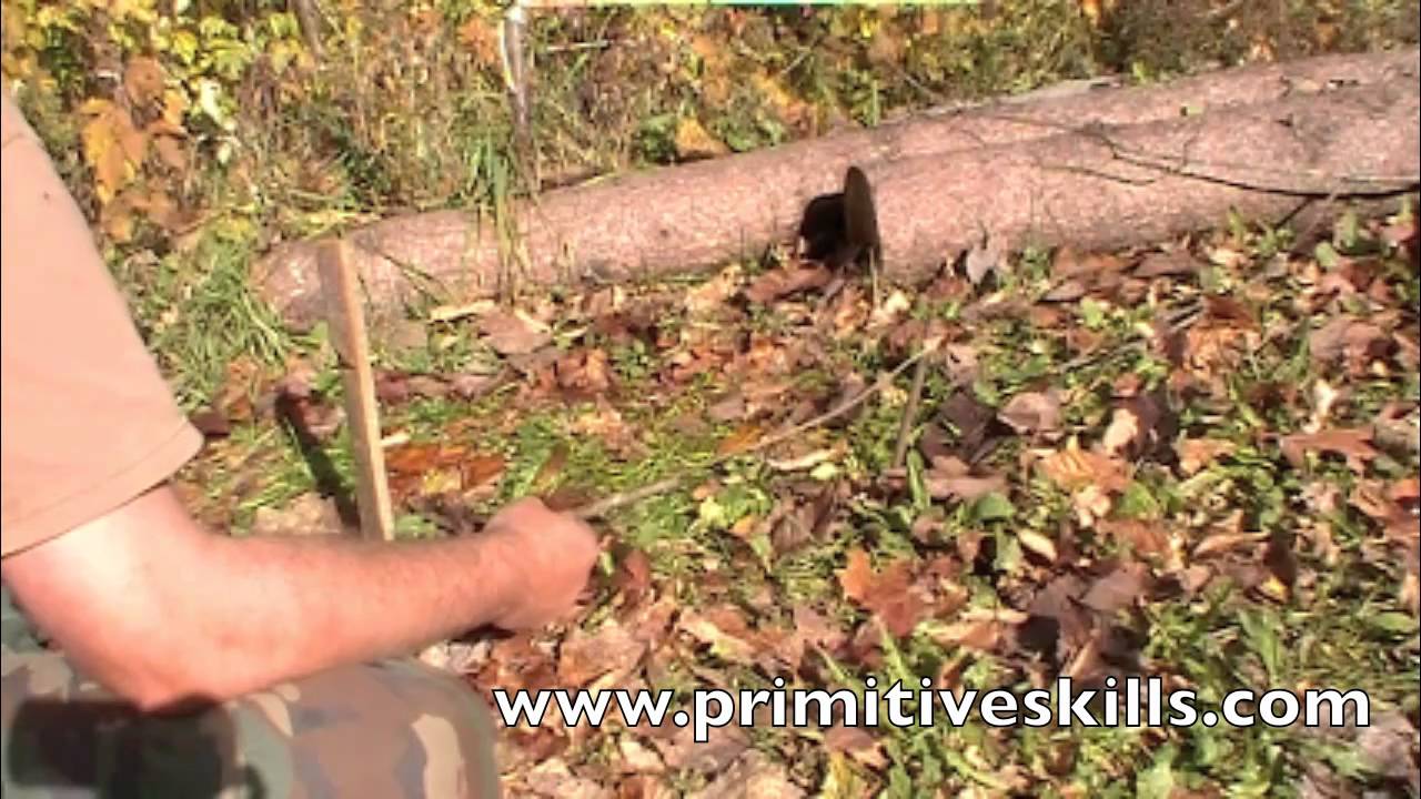 Survival Trapping-Split Stick Greased String Deadfall - YouTube