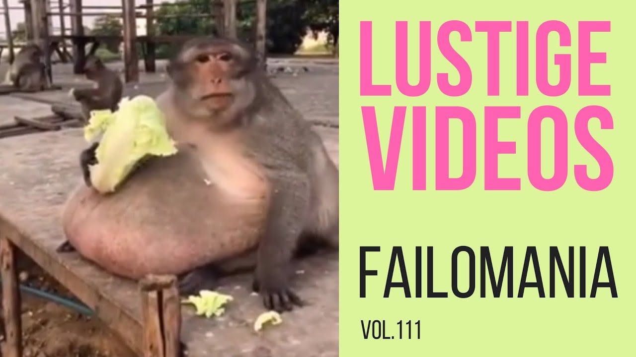 Lustige Videos 2018 🤣 Lustige Videos zum Totlachen 😂 vol.111 ...