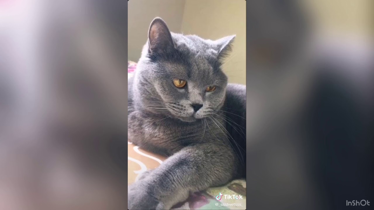 Grwm / aesthetics video in tik tok🌻 - YouTube