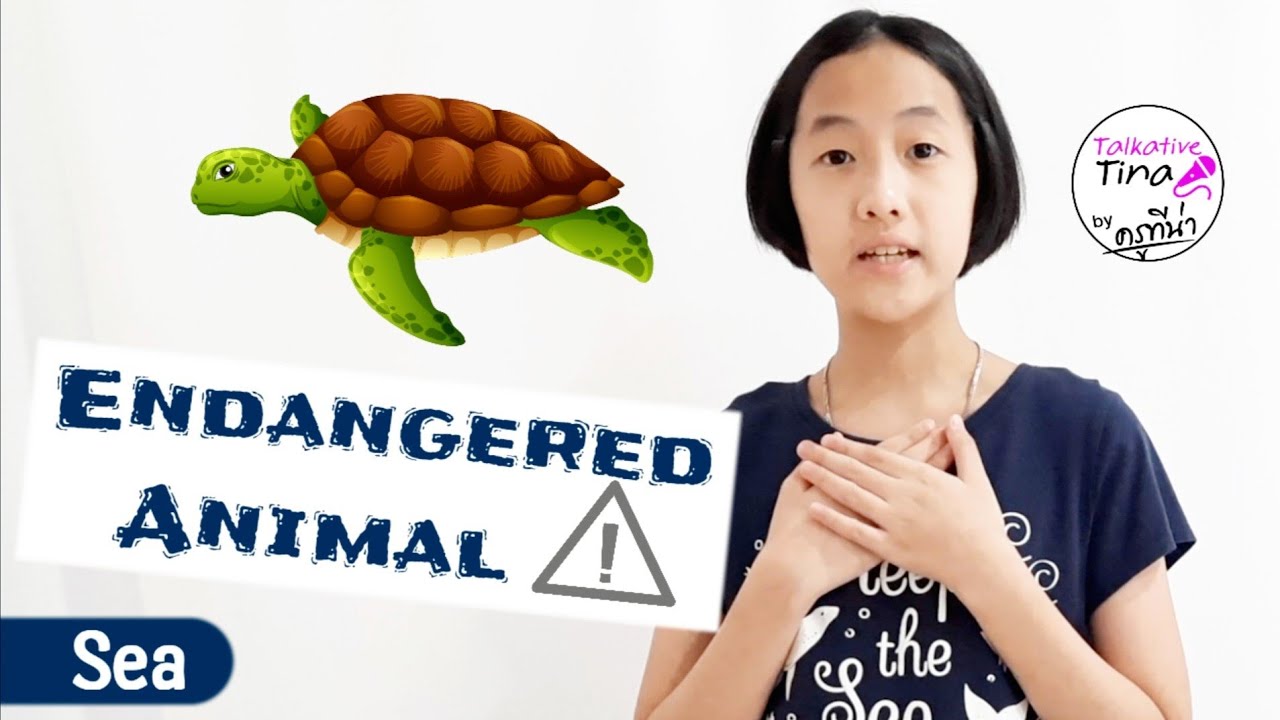 Endangered Animal | Help Save Turtles | English Public Speaking for ...