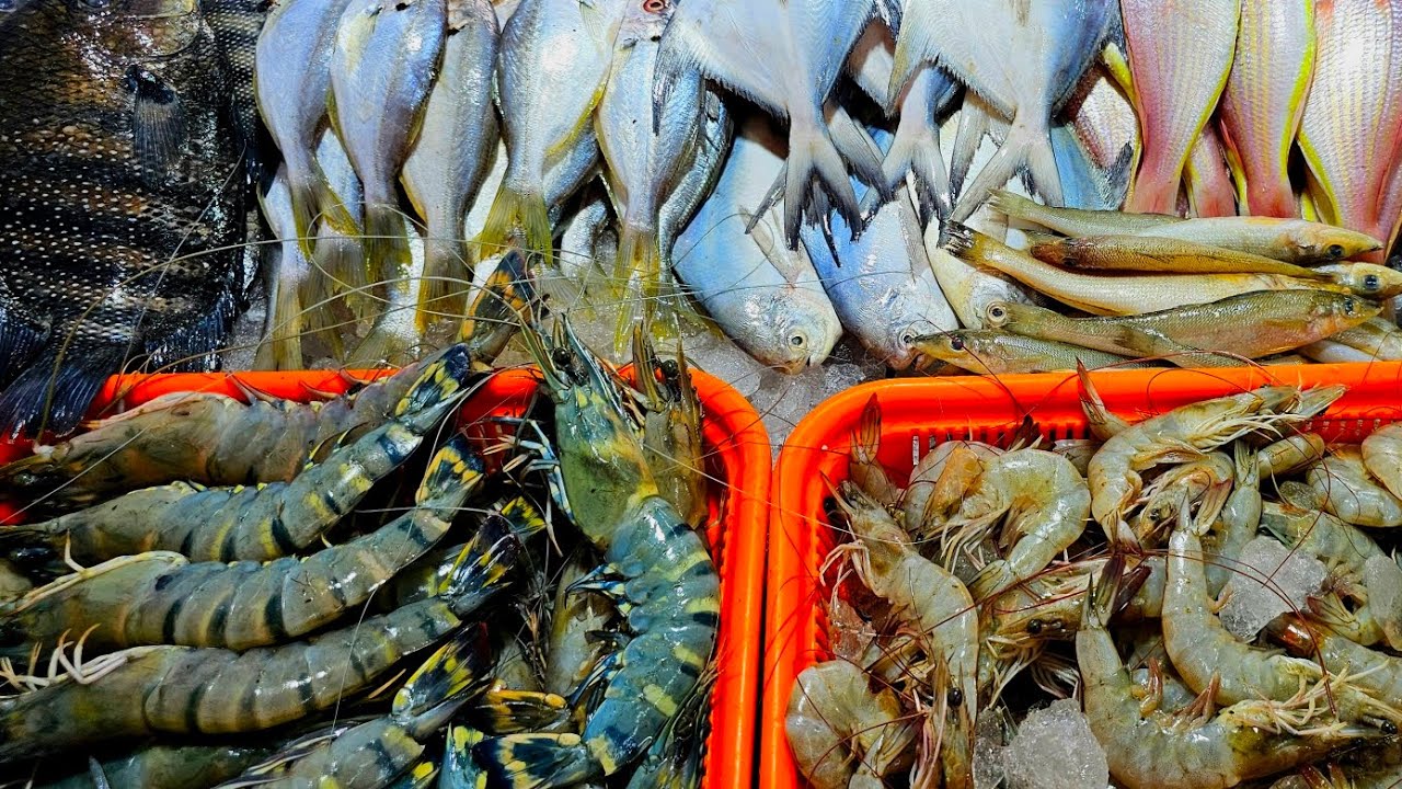 sagar fish world hoodi Bangalore #seafood #fish #fishing #fishlovers ...