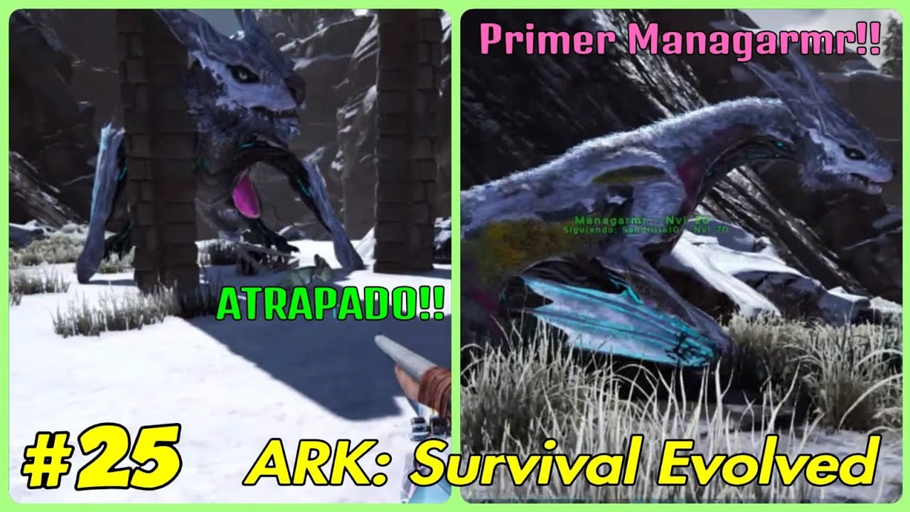 Así Es Cómo Conseguimos Nuestro Primer Managarmr!! #25 | ARK: Survival ...