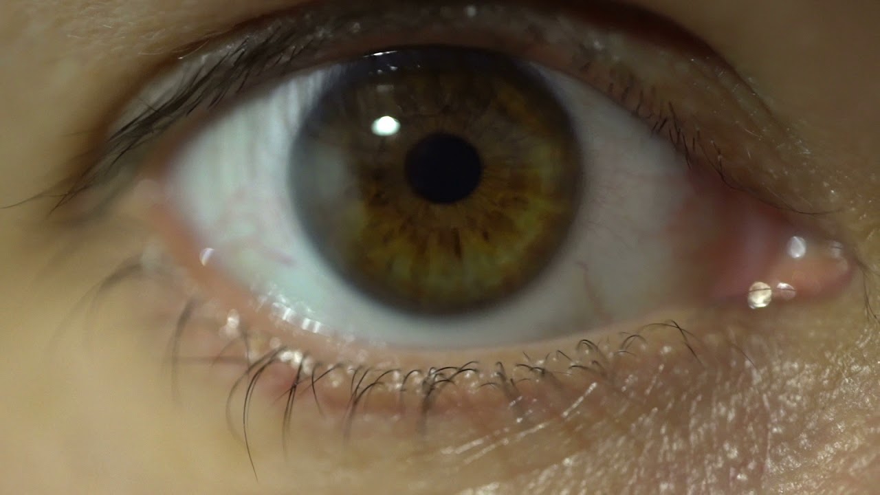 human eye close up looking to camera macro view detailed anatomy - YouTube