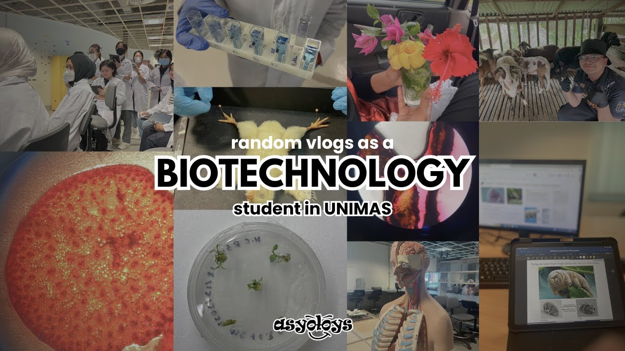 random vlogs as BIOTECHNOLOGY student in UNIMAS, Malaysia 🇲🇾 (labs ...