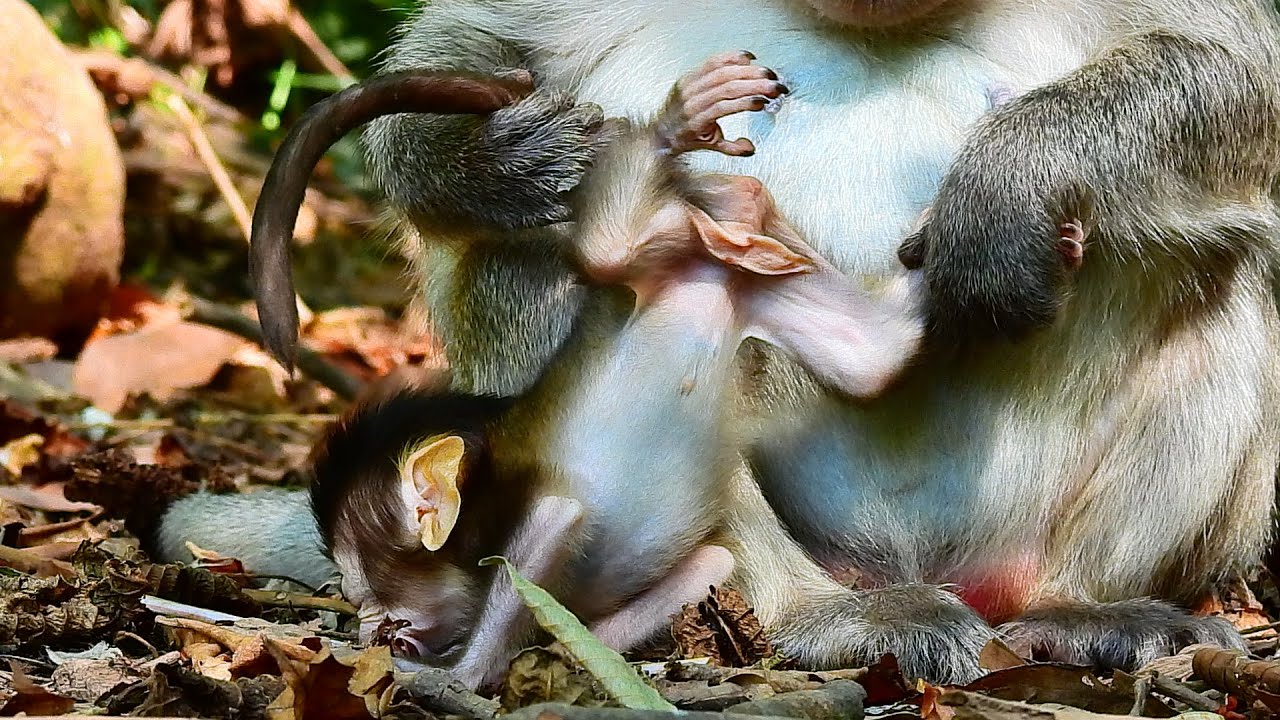 ANGEL STILL DO LIKE THIS WITH LITTLE POOR ARIA ? WHY ? ARIA VERY ...