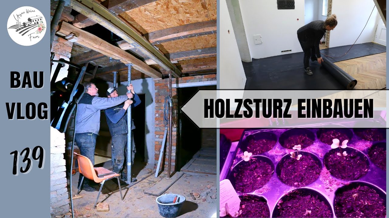 Holzbalken sanieren und einbauen im OG | Gemüsepflanzen UPDATE #139 ...