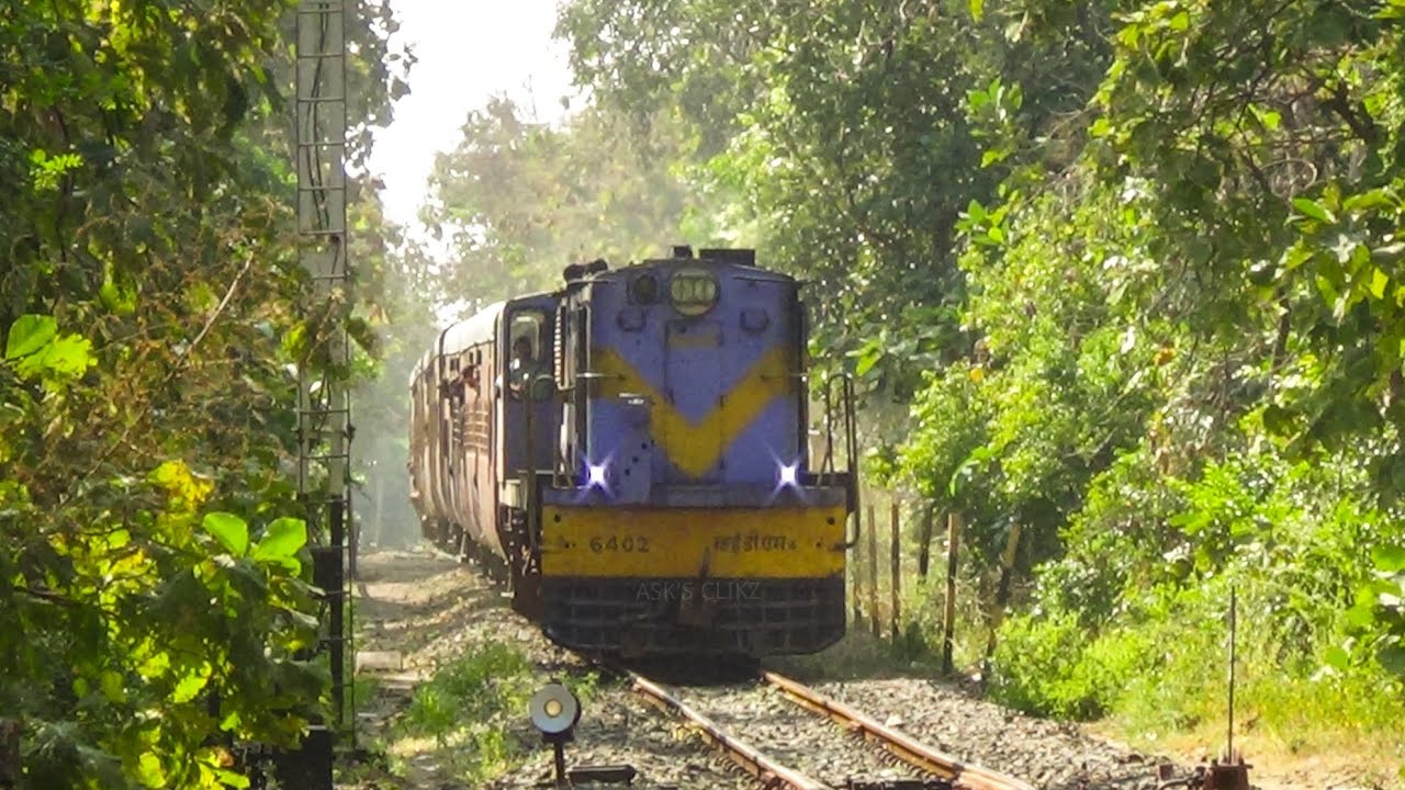 Vintage train through Gir forest | Veraval - Amreli MG pass train ...