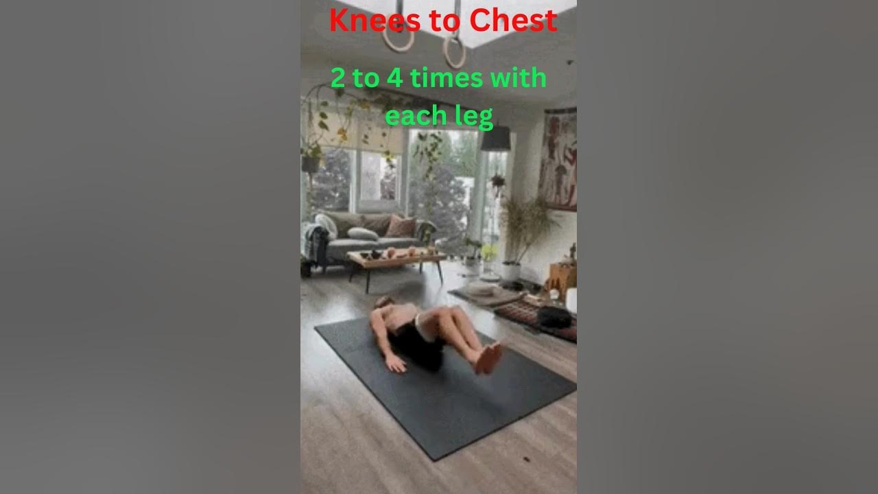 Top 5 Best Lower Back Strengthening Exercisesfitness Bodybuilding Lowerbodyexercises Gym