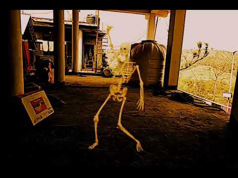 Best skeleton dance