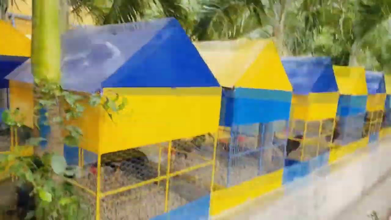 Janor Duarte Presenta Una nueva Etapa de Wilson Basilio o Galleria ...