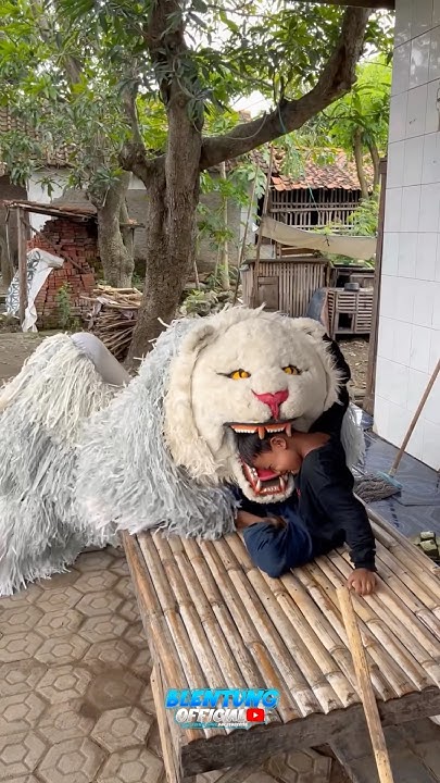 Lagi tidur Bocil ff dimakan can macanan - YouTube