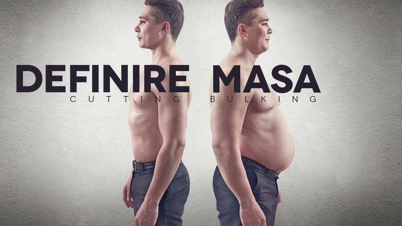 Cresterea masei musculare si Grasimea - Bulking Mode - YouTube