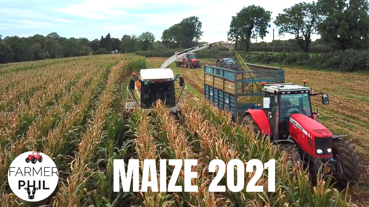 €20K! IN THE PIT | IRISH MAIZE HARVEST 2021 - YouTube