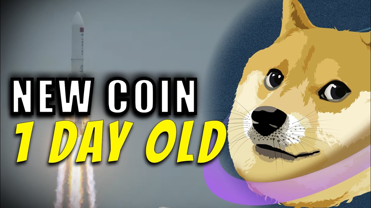 OrbitDoge Token (NEW COIN) Meme Coin Moon Shot Potential 1000X GAMBLE ...