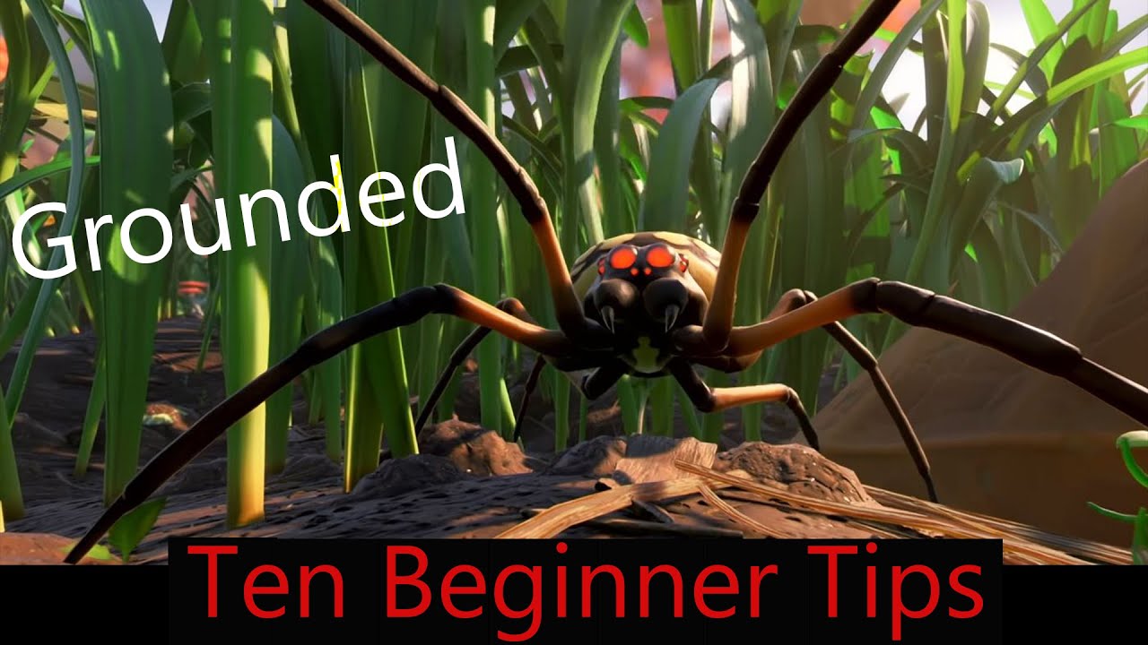 Ten Beginner Grounded Tips - YouTube