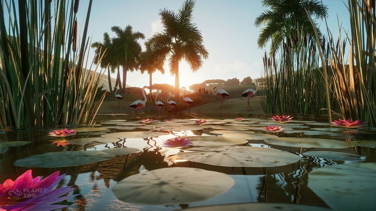 Planet Zoo (PC)(English) #25 5 Minutes of Bongo @Ultra - YouTube