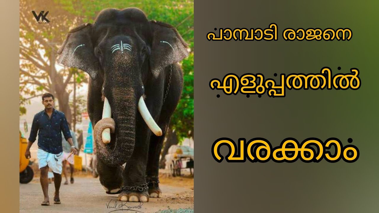 Pambady rajan pencil drawing video😍😍😍😍😍 - YouTube