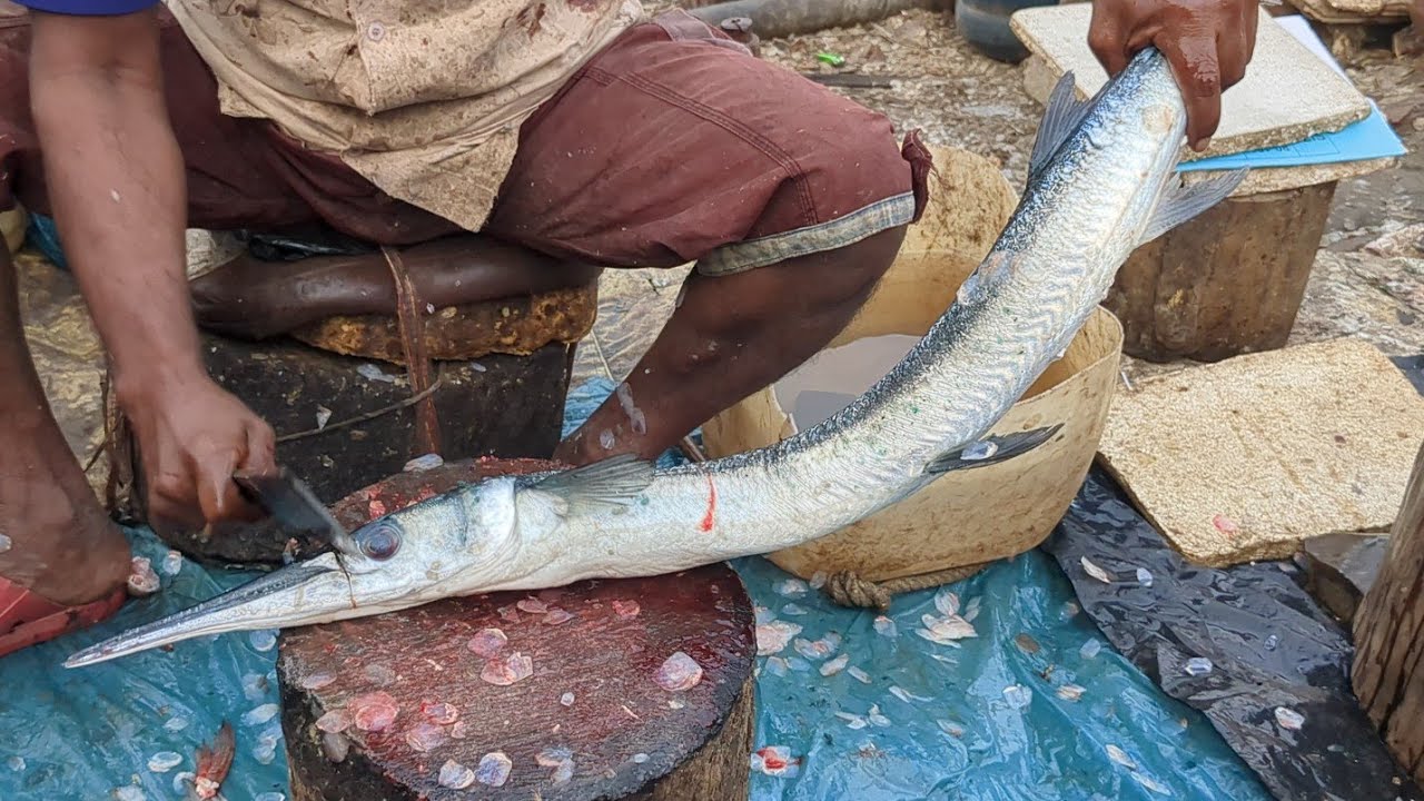 How To Cutting Amazing Gar Fish! Arab Sea Gar Fish Cutting Skilly Knife ...