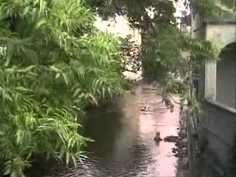 oberentfelden  verano del 2003