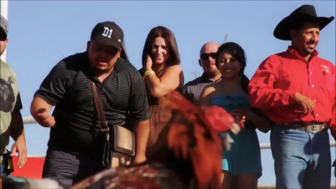 El Toron de Michoacan 2017 VALIENTE COBARDE - YouTube