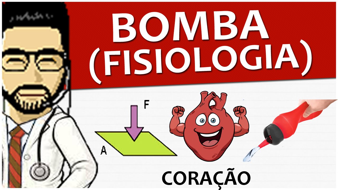 Coração 06 - Função de bomba (Fisiologia) - Vídeo aula de Sistema ...