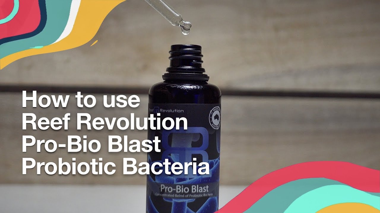 How to use Pro-Bio Blast Probiotic bacteria from Reef Revolution - YouTube