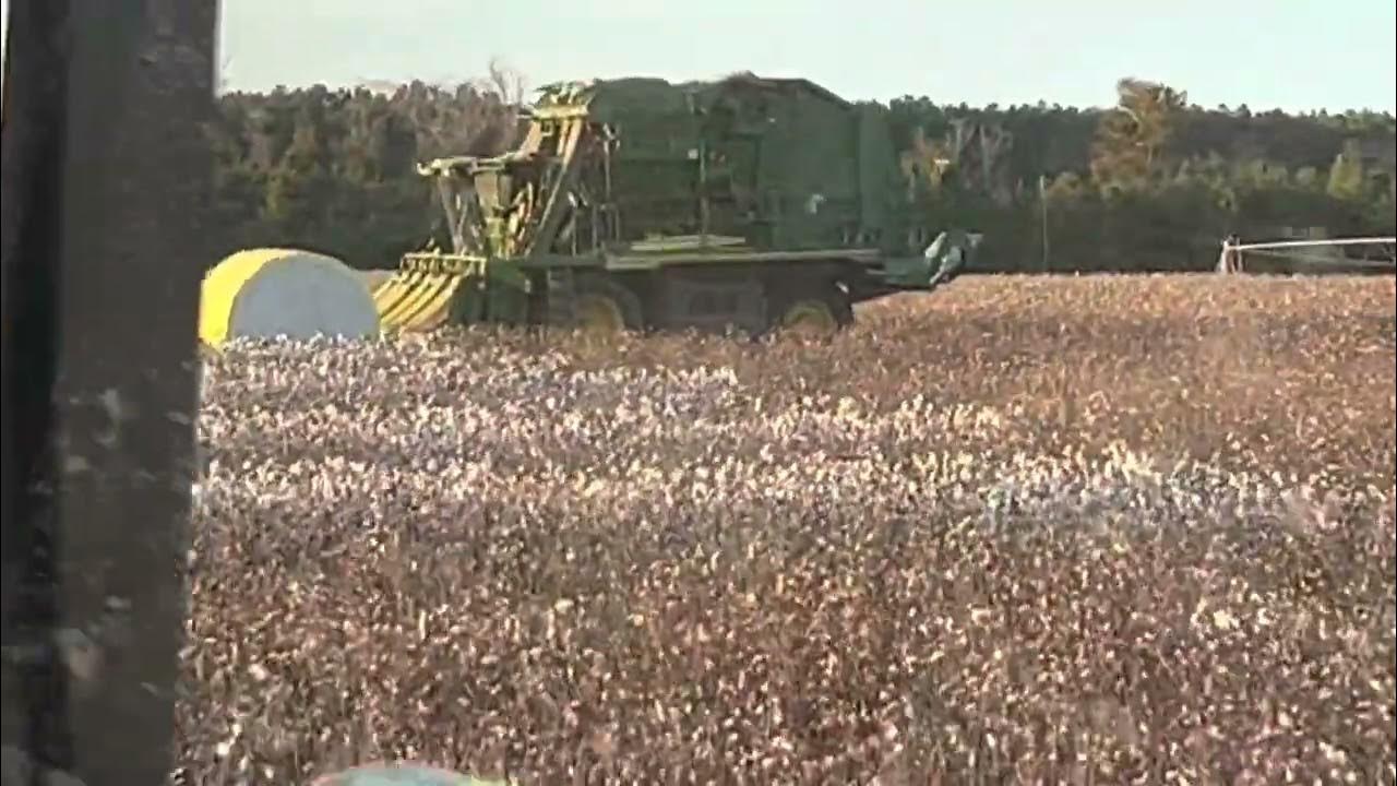 John Deere Cp770 harvester picking cotton - YouTube