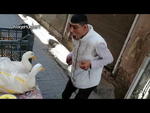 Hiko Baba Saldırıya Uğruyor!!! (KAZ TARAFINDAN)