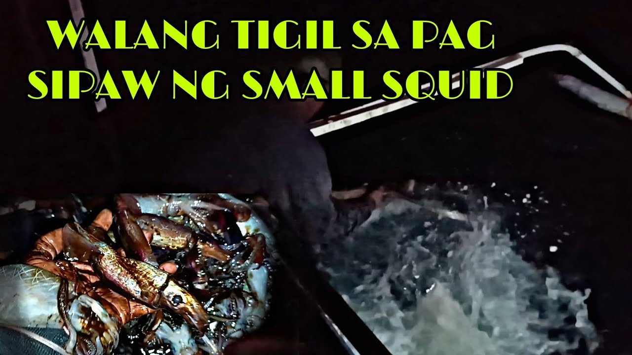 BAKBAKAN SA PAG SIGPAW KAHIT MALAKAS|Squid Hunter TV - YouTube