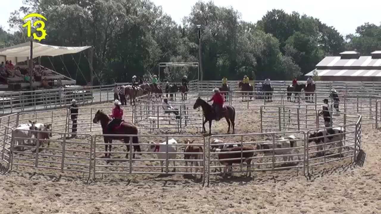 Ranch sorting - YouTube