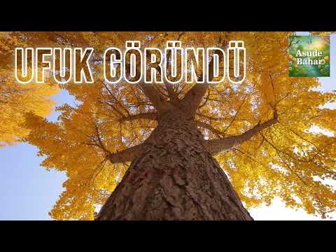 Ufuk Göründü – Asude Bahar (Official Audio)