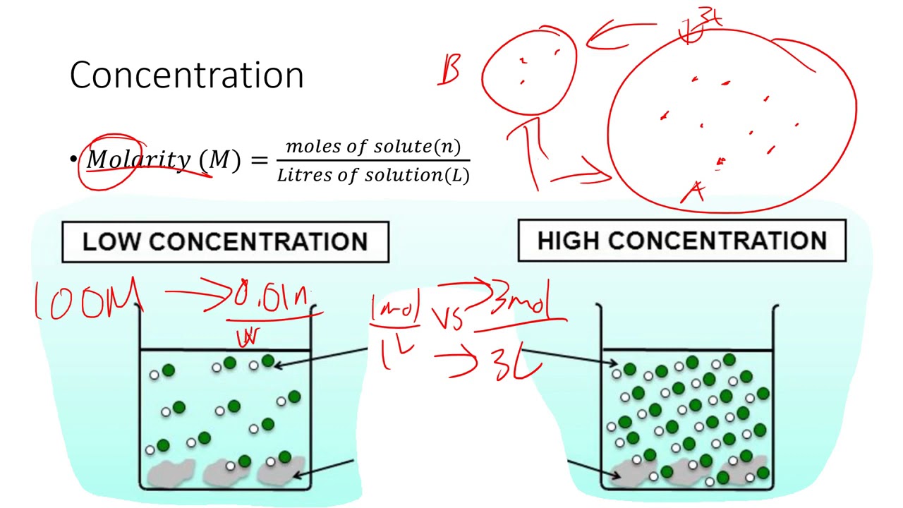 AP Chemistry: Concentration and Molarity - YouTube