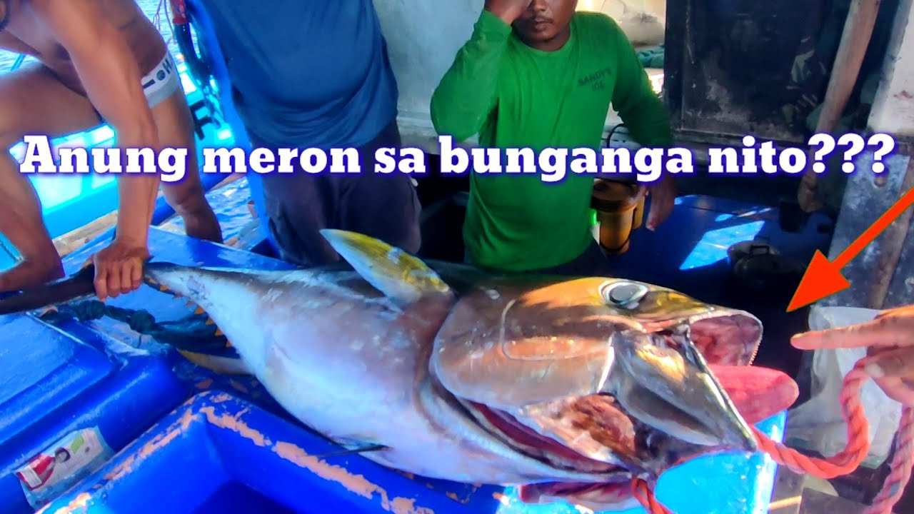 Laot5 part4 Anung Meron sa bunganga ng Tuna na ito??Ator Fishing Tv ...