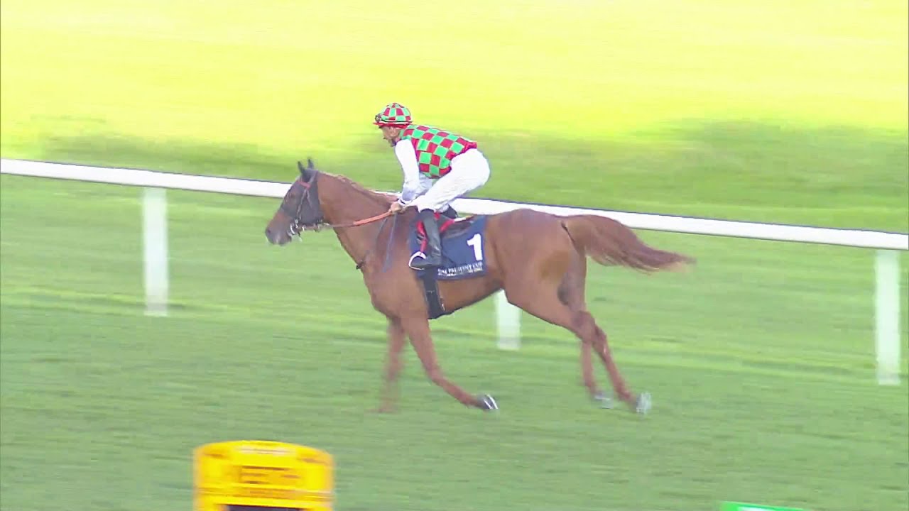 President of the UAE Cup (UK Arabian Derby) Group 1PA - YouTube