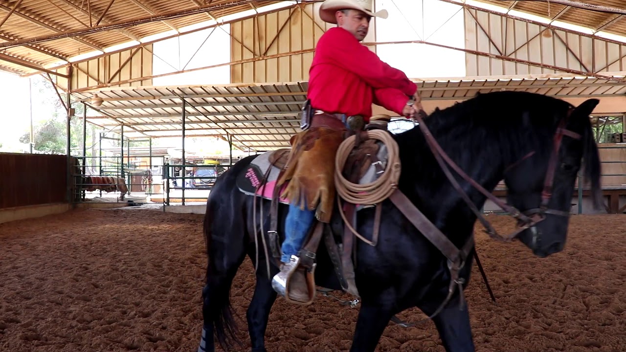 Introduction to the Garrocha - YouTube