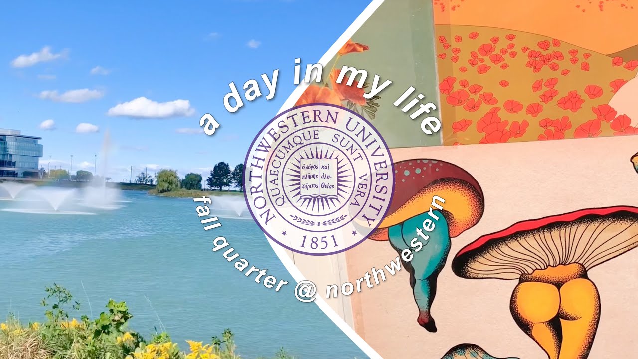 day in the life at northwestern university 💌 | fall quarter & lots of ...
