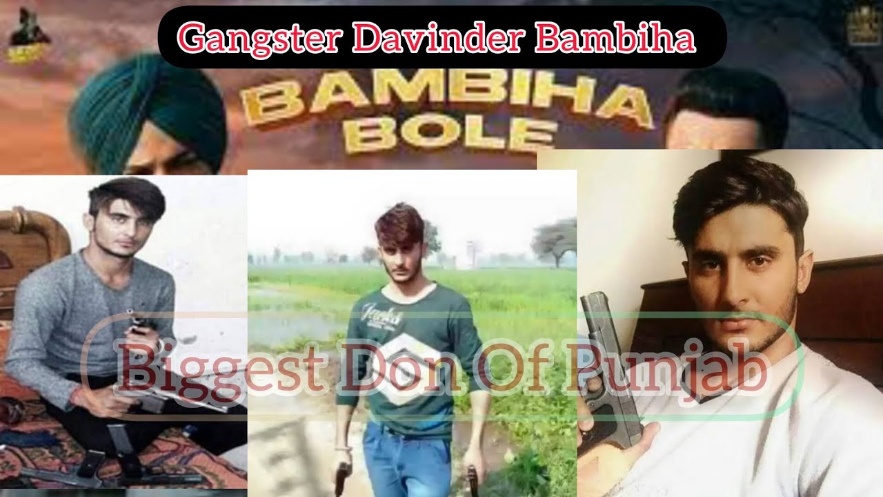 Davinder Bambiha Biggest Punjabi Gangster (Bambiha Bolee) Bambiha Gang ...